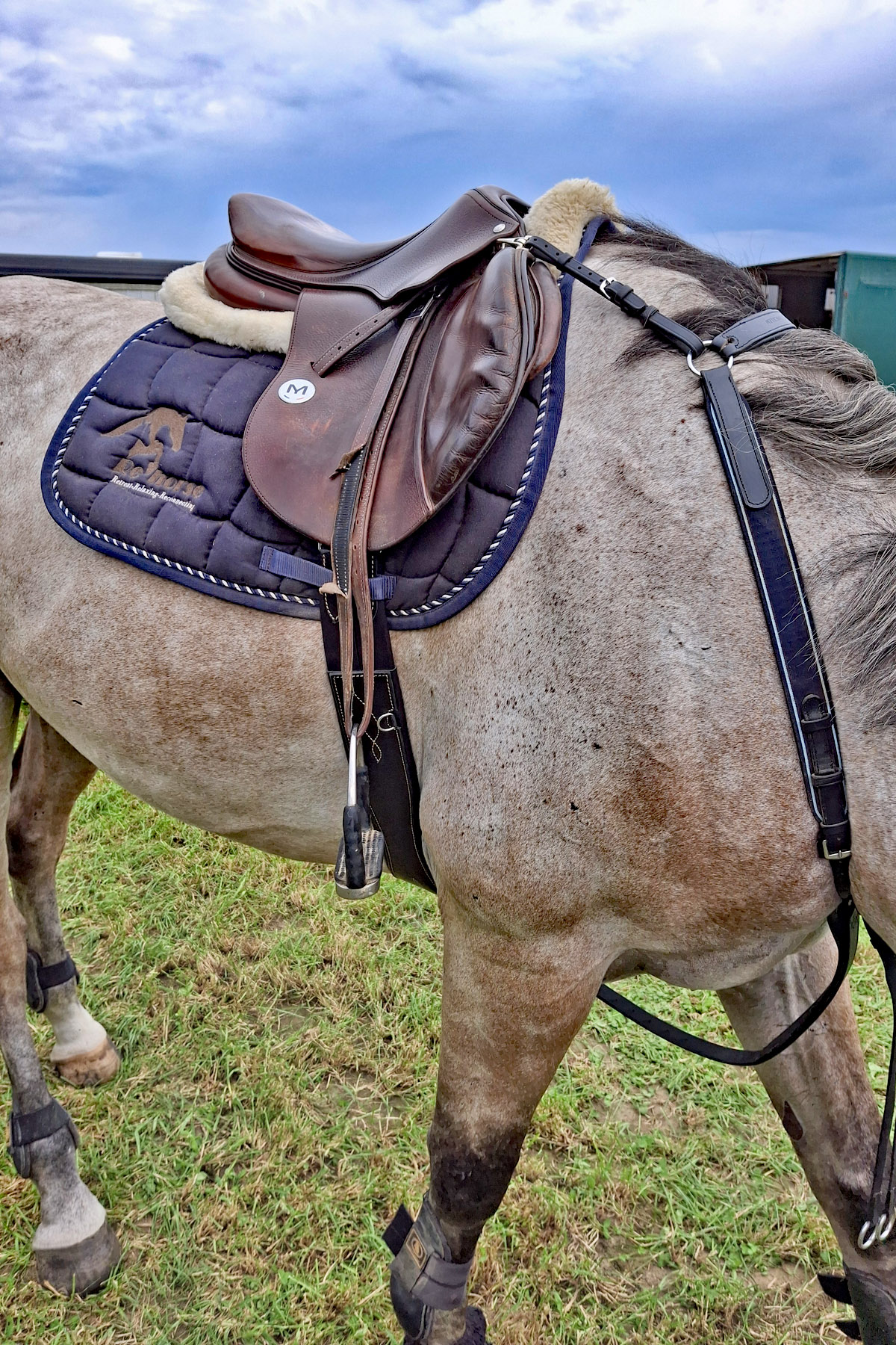 Horse retreat | Rest & recovery | ReHorse